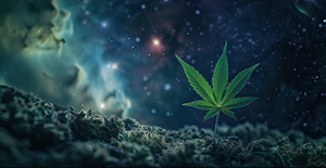 The Complete History of Cannabis: Global Timeline (A Series)